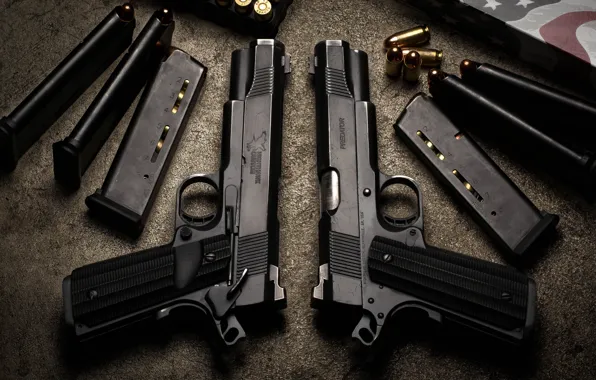 Hitman Guns