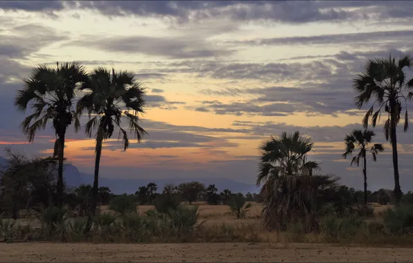 Download wallpaper landscape, nature, beauty, the evening, Africa ...