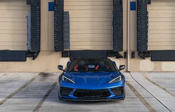 Wallpaper Corvette, Chevrolet, Blue, Front, Face, Sight images for ...