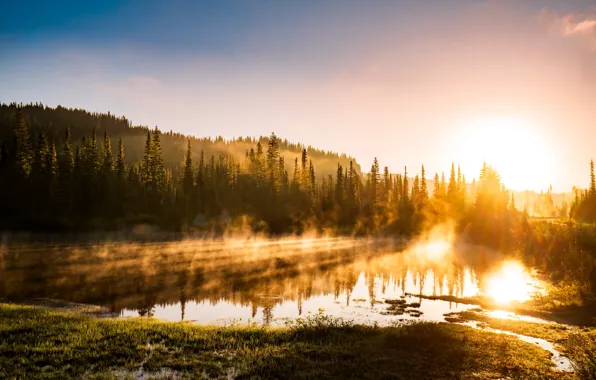 Download wallpaper forest, nature, fog, lake, morning, section ...