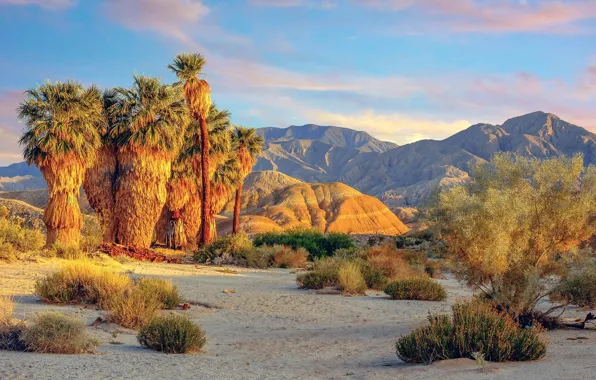 Download wallpaper USA, ridge mountain ranges, the windswept terrain of ...