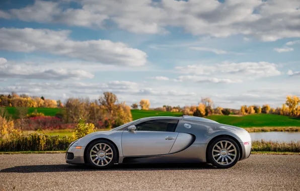 Wallpaper Bugatti, Veyron, Bugatti Veyron, 16.4, side view for mobile ...