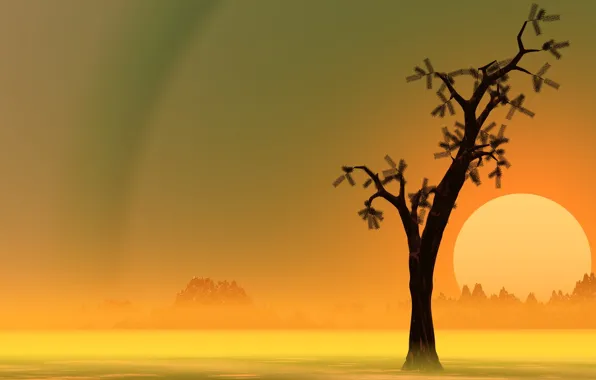 Wallpaper nature, color, form, rostenie for mobile and desktop, section ...