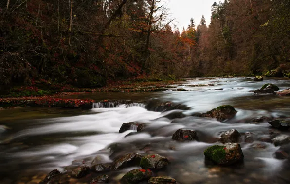 Wallpaper nature, river, stream for mobile and desktop, section природа ...