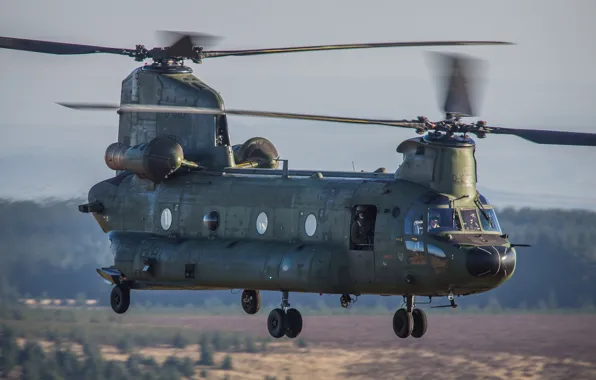 Wallpaper CH-47 Chinook, Chinook, Royal Netherlands Air Force ...