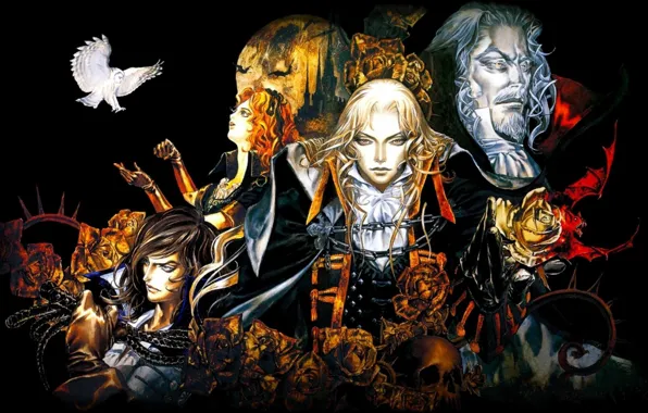 Wallpaper rose, flower, immortal, man, vampire, Castlevania, hana ...