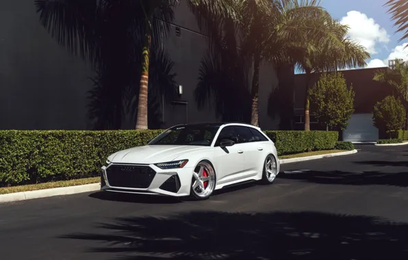 Wallpaper White, RS6, Palm trees, C8 images for desktop, section audi ...