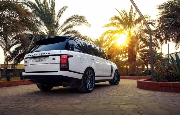 Wallpaper SUV, Range Rover, Range Rover for mobile and desktop, section ...