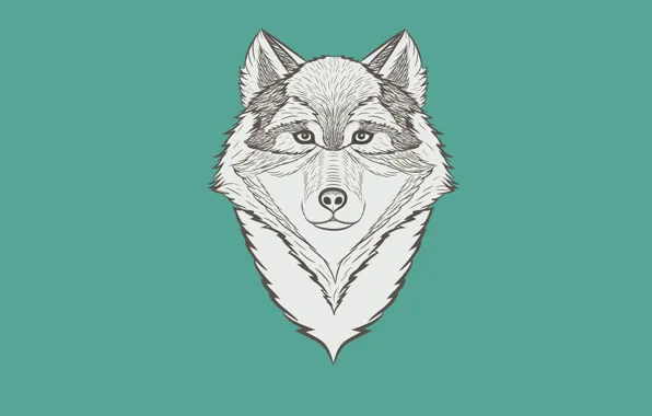 Download wallpaper face, wolf, minimalism, head, wolf, section ...