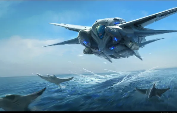 Wallpaper wave, flight, fish, aircraft, mobula for mobile and desktop ...