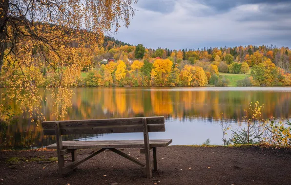 Wallpaper autumn, river, bench for mobile and desktop, section природа ...