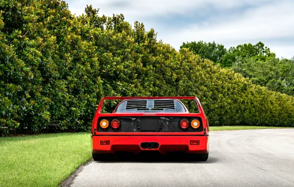 Download wallpaper Red, F40, Black, Rear view, Spoiler, section ferrari ...