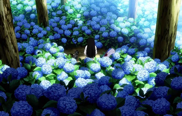 Wallpaper trees, blue, back, garden, hydrangea, Sankarea, sankarea ...