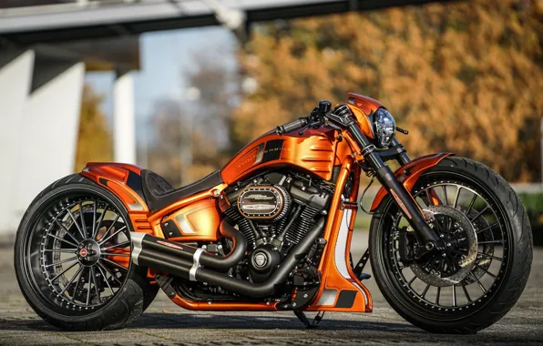 Wallpaper Harley-Davidson, Custom, Thunderbike, FXBRS, Gp-Style images ...