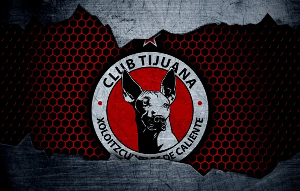 Wallpaper wallpaper, sport, logo, football, Tijuana images for desktop ...