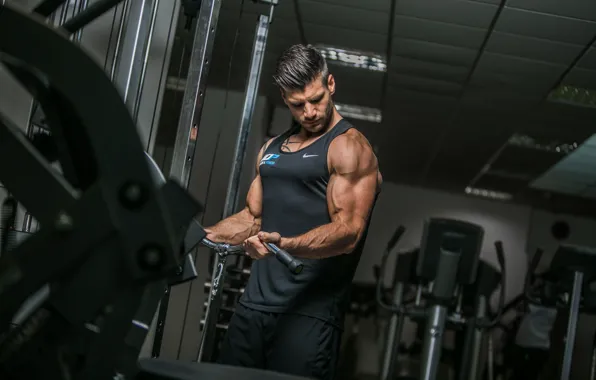 Download wallpaper power, muscles, bodybuilder, section men in ...