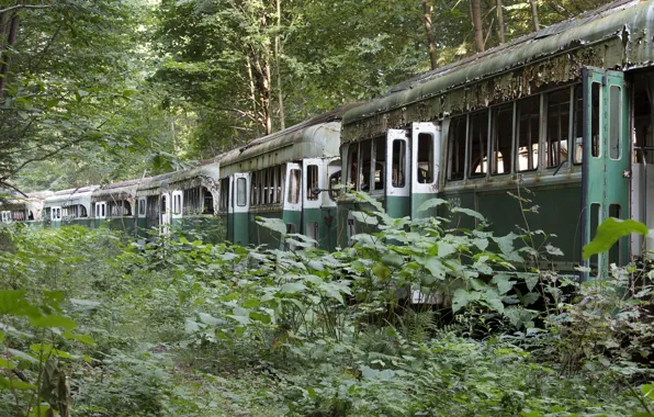 Wallpaper grass, stop, trolley images for desktop, section разное ...