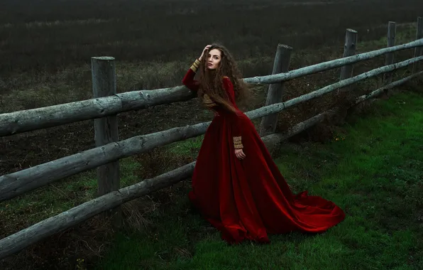 Wallpaper look, girl, pose, dress, Ann Nevreva images for desktop ...