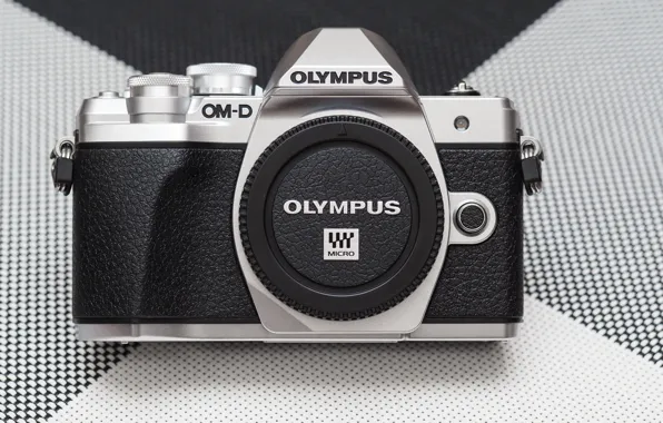 Wallpaper macro, the camera, Olympus OM-D, E-M10 Mark III for mobile ...