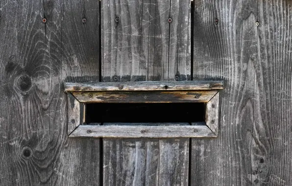 Download wallpaper macro, background, the fence, section textures in ...