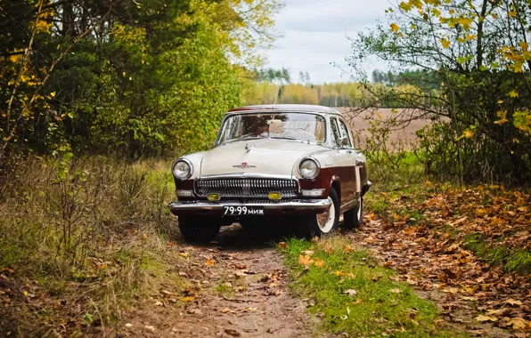 Download wallpaper USSR, Volga, GAZ-21, section other in resolution ...