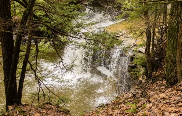 Download wallpaper Nature, Open, Waterfall, section landscapes in ...