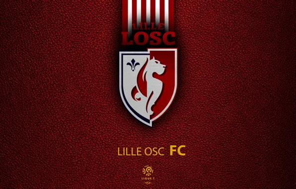 Download wallpaper wallpaper, sport, logo, football, Ligue 1, Lille OSC ...