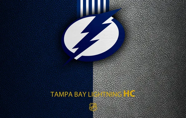 Wallpaper wallpaper, logo, NHL, Sport, Hockey, Tampa Bay Lightning for ...