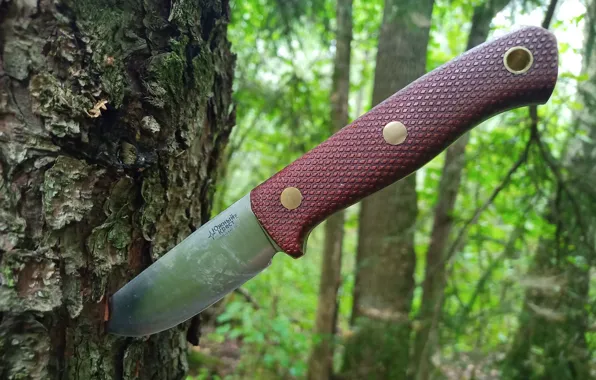 Download wallpaper forest, tree, knife, section weapon in resolution ...