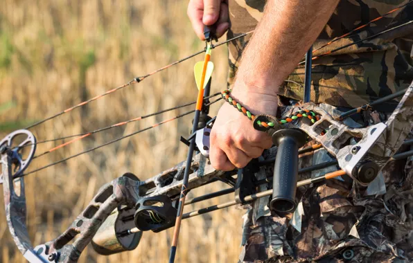 Download wallpaper man, arrow, composite bow, section weapon in ...