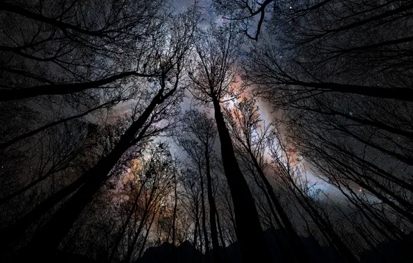 Wallpaper light, sky, sunset, night, clouds, shadows for mobile and ...