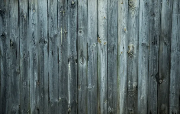 Wallpaper the fence, bitches, wood, beryuza, Board.texture images for ...