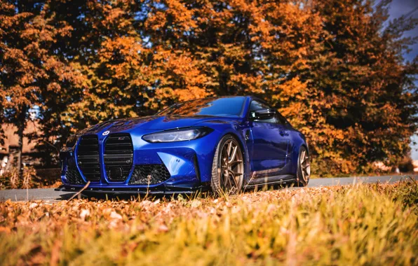 Wallpaper BMW, Blue, Autumn, Road, Trees, BMW M4 for mobile and desktop ...