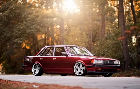 Wallpaper road, light, trees, classic, toyota, tuning, Toyota, Cressida ...