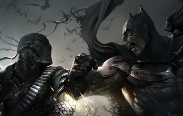 Wallpaper Batman, characters, comic, confrontation face to face for ...