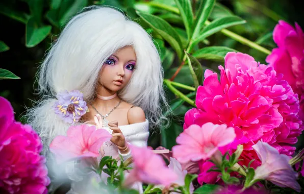 Wallpaper flowers, doll, blonde images for desktop, section разное ...