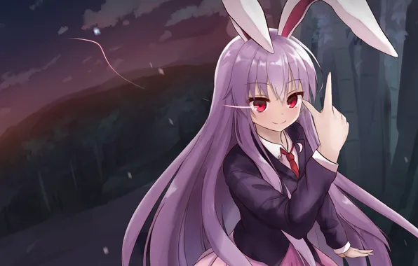 Download wallpaper girl, night, rabbit, Touhou, section other in ...