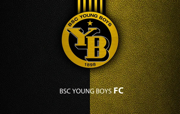 Wallpaper wallpaper, logo, football, Sport, BSC Young Boys for mobile ...