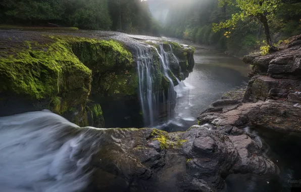 Wallpaper forest, river, stone, waterfall, waterfall for mobile and ...