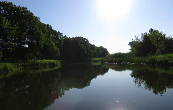 Wallpaper greens, summer, water, trees, sunset, nature for mobile and ...