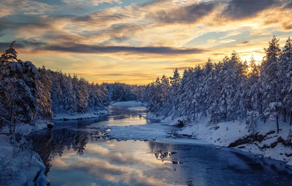 Wallpaper winter, forest, river for mobile and desktop, section пейзажи ...