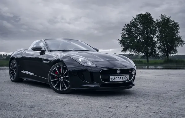 Wallpaper Jaguar, Auto, Machine, F-Type, Jaguar F-Type, Transport ...