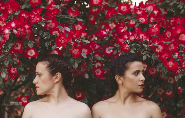 Wallpaper girl, flowers, face, hair, profile for mobile and desktop ...