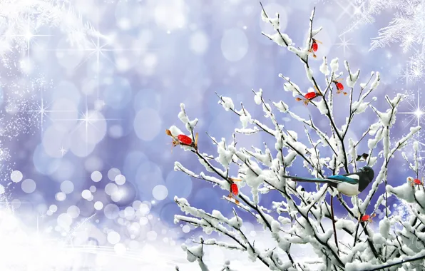 Wallpaper winter, bird, forty for mobile and desktop, section рендеринг ...