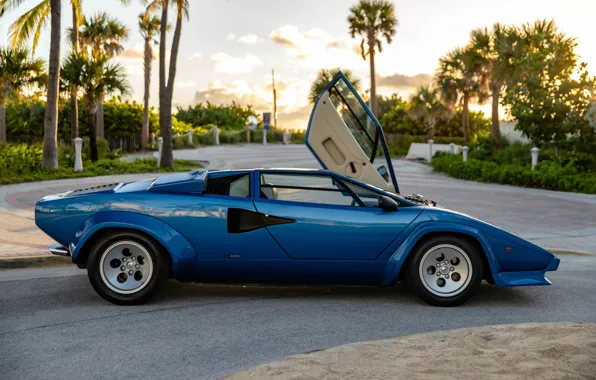 Download wallpaper Lamborghini, lambo, Countach, LP5000 S, side view ...