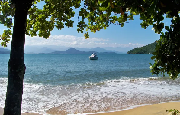 Wallpaper Brazil, Ubatuba, Anchieta Island, Beach-3 for mobile and ...