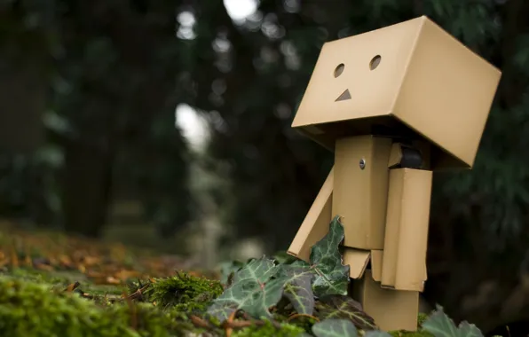 Wallpaper forest, doll, danbo for mobile and desktop, section макро ...