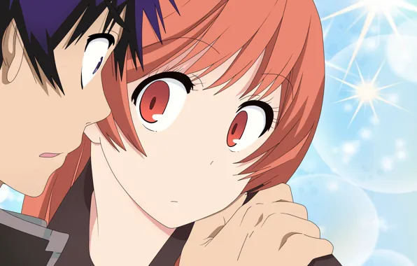 Wallpaper look, girl, art, pair, guy, two, nisekoi, Feigned love for ...