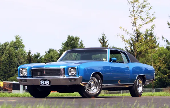 Download wallpaper Chevrolet, Blue, Coupe, Hardtop, Monte Carlo ...