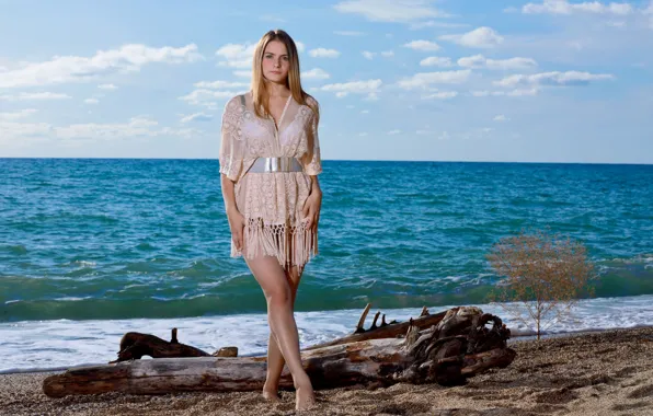 Wallpaper Model Pose Driftwood Seaside Met Art Dakota Pink Images